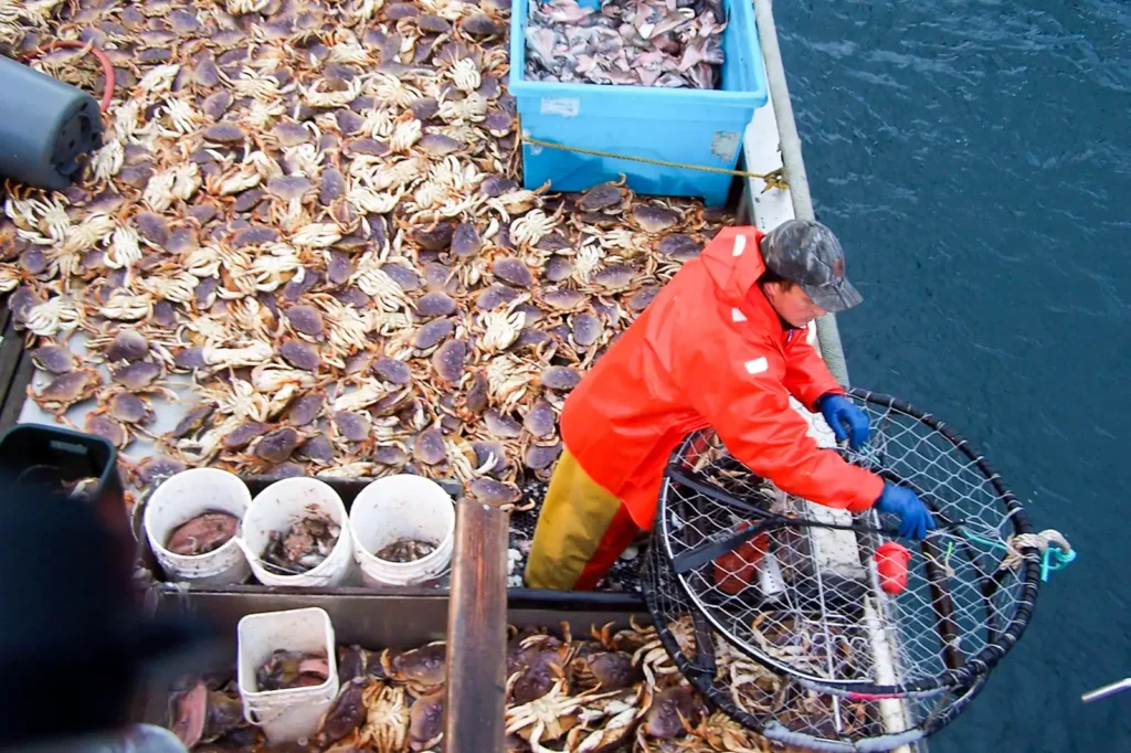 Gallery - Ecola Seafoods - Cannon Beach, Oregon
